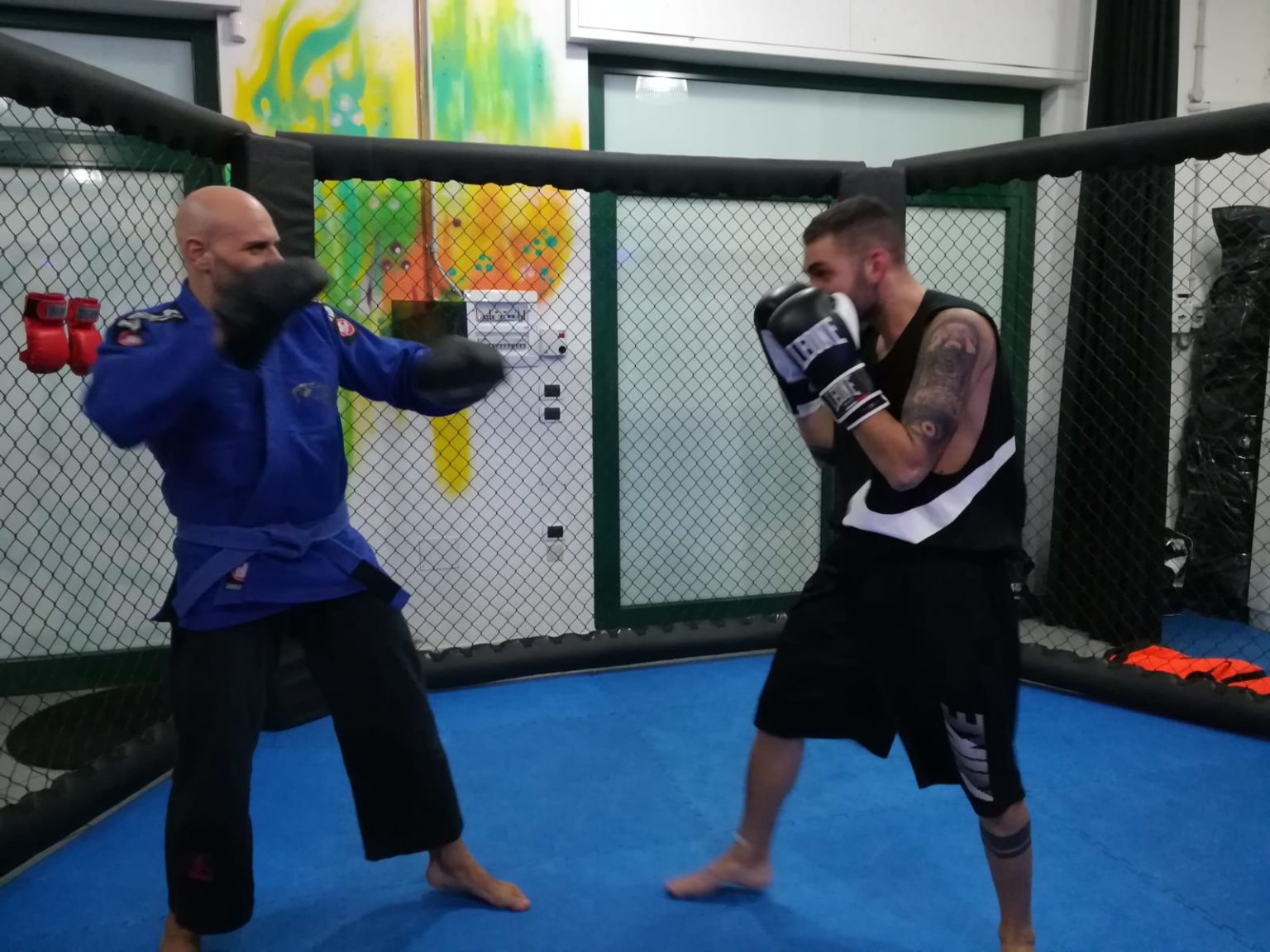 Mario Roselli: il suo sogno da bambino diventa realtà - Il Quarto Potere